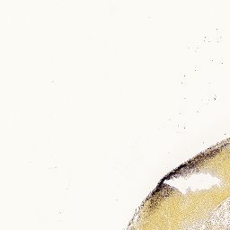 High Resolution Image Viewer :: Allen Brain Atlas: Developing Mouse Brain