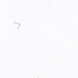 High Resolution Image Viewer :: Allen Brain Atlas: Developing Mouse Brain